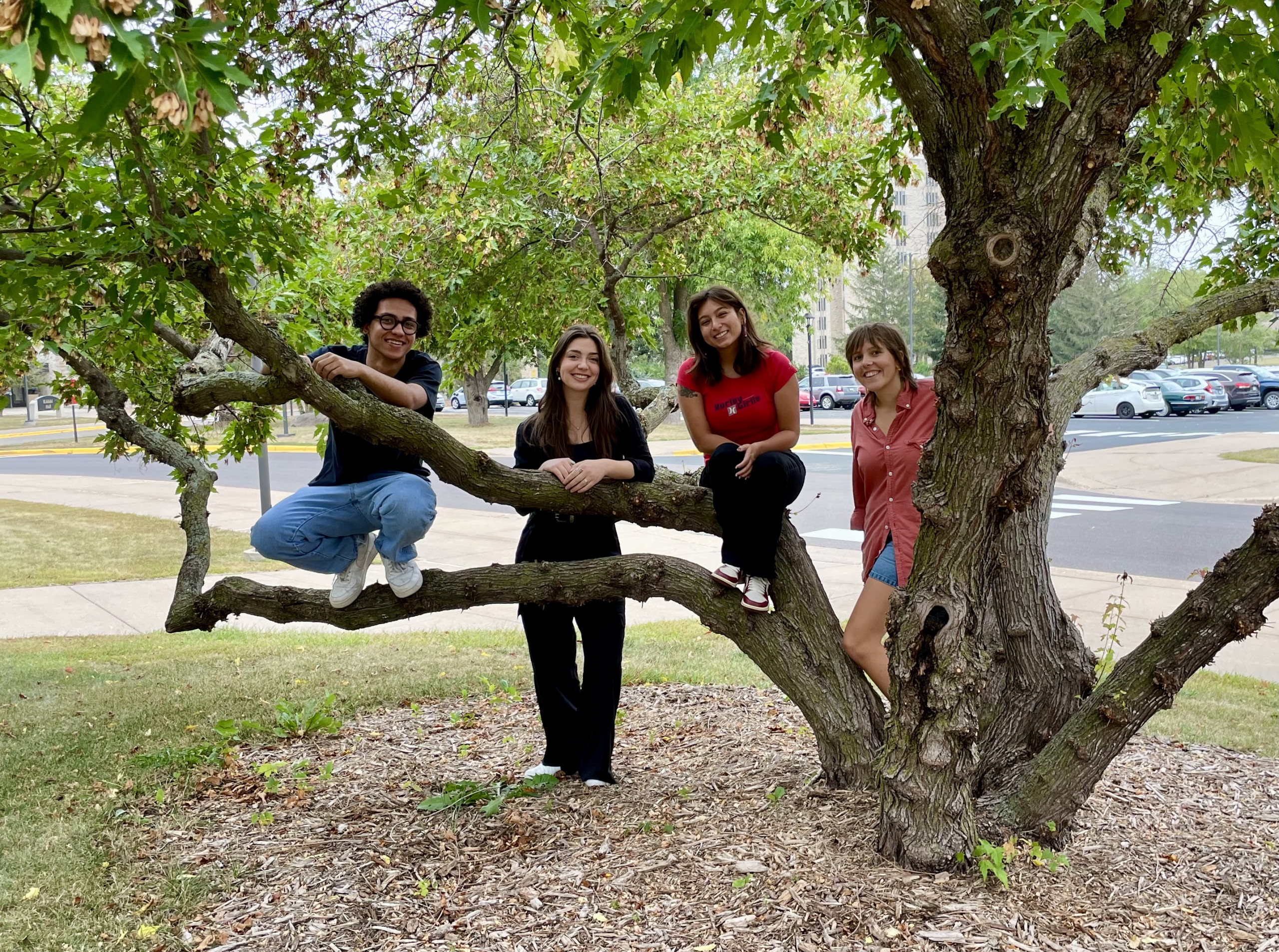 Emerging Artist Program – Art and Art History