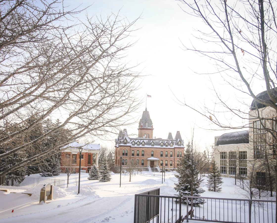 Diversity, Equity, and Inclusion – The St. Olaf Brand