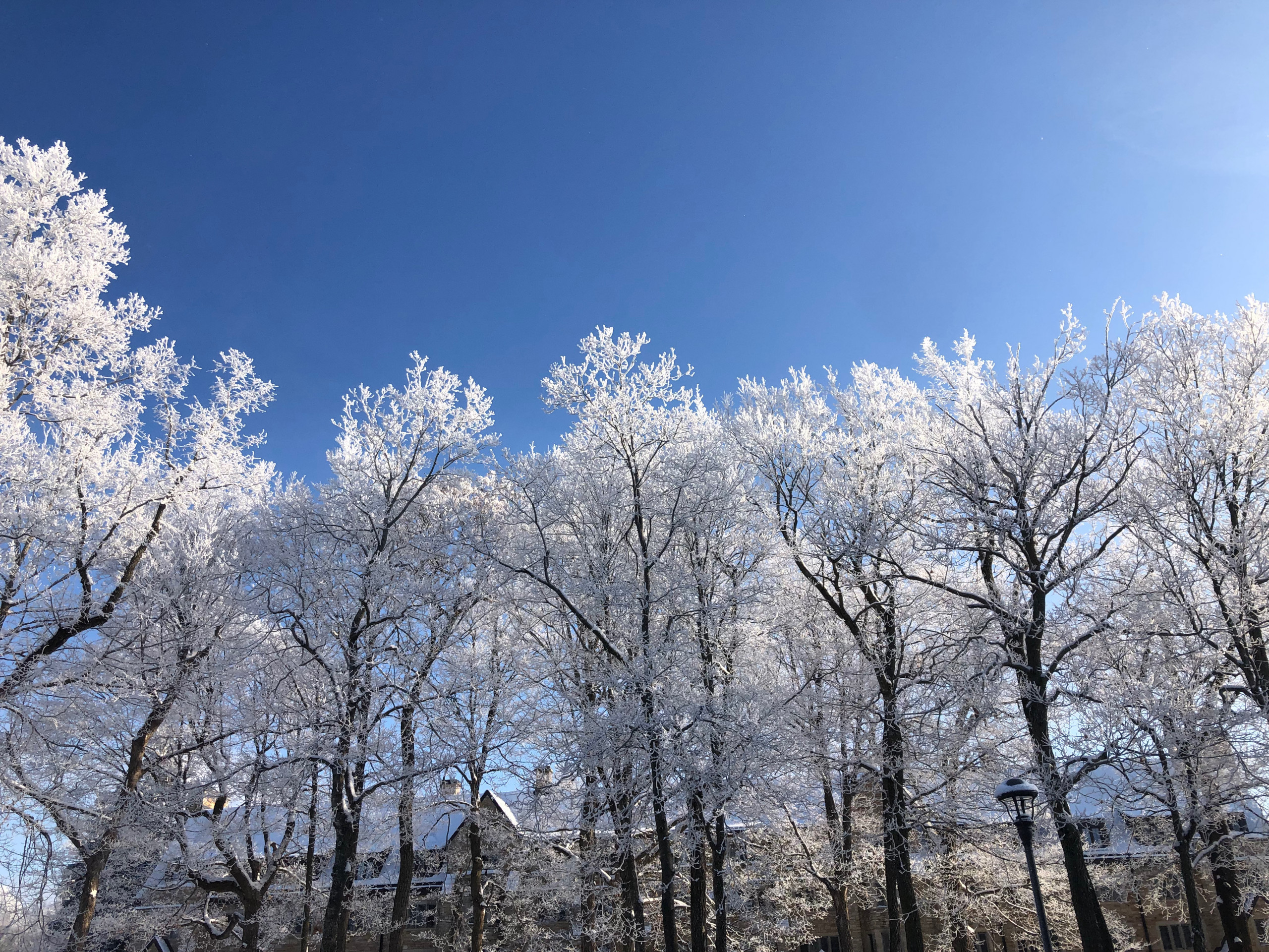 Living for Today – The Hong Kierkegaard Library