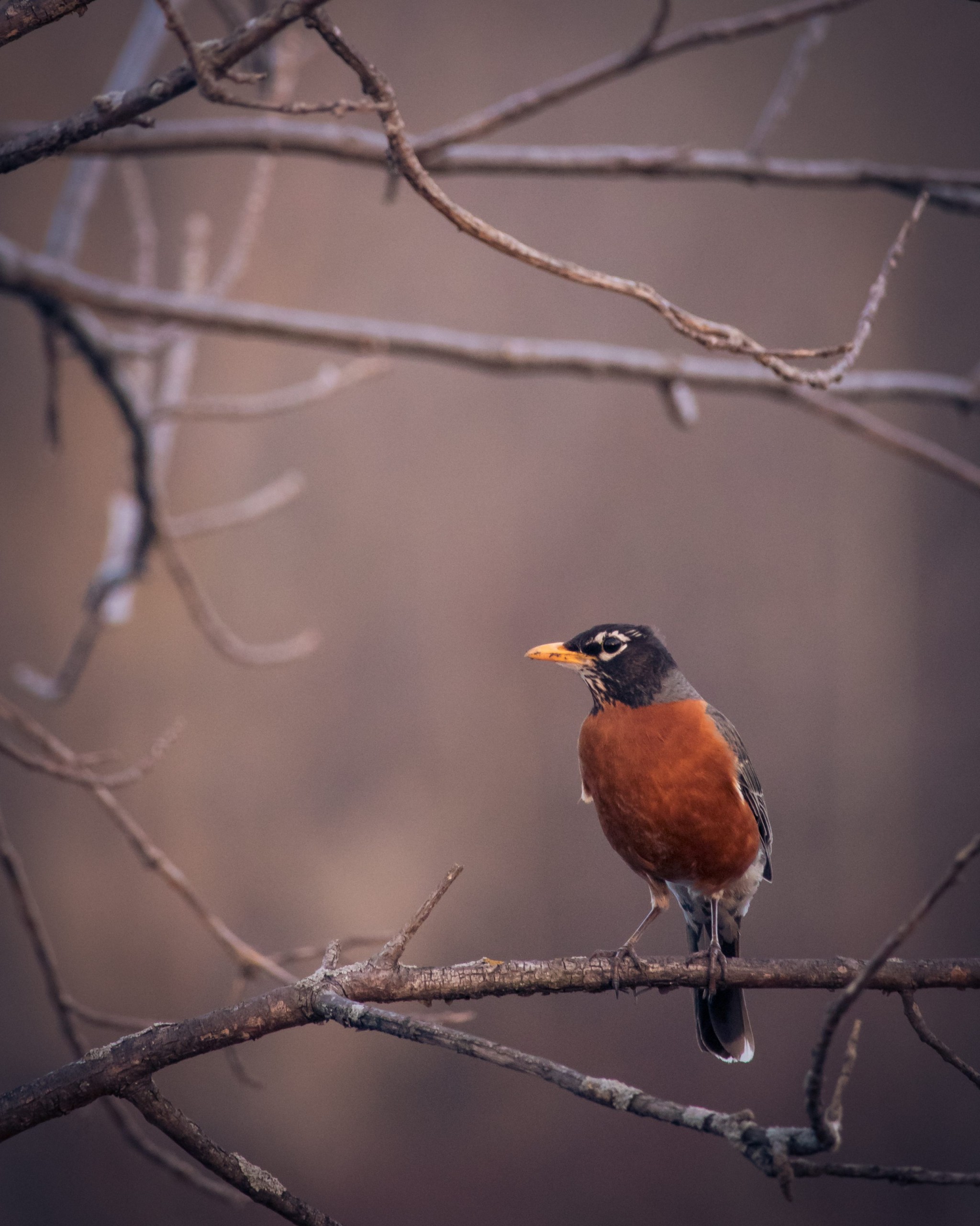Photo Contest Winners – Natural Lands