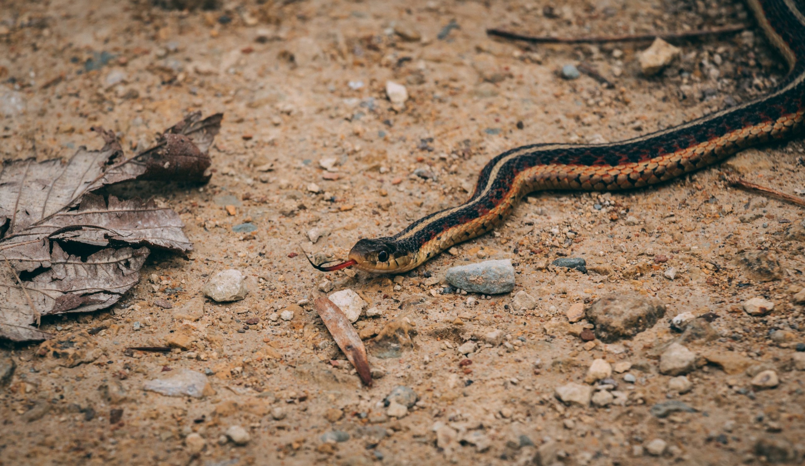 Photo Contest Winners – Natural Lands