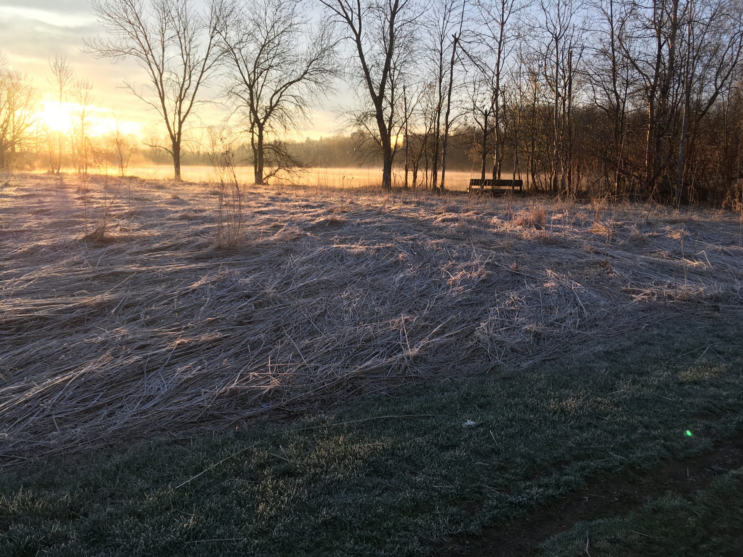 Photo Contest Winners – Natural Lands