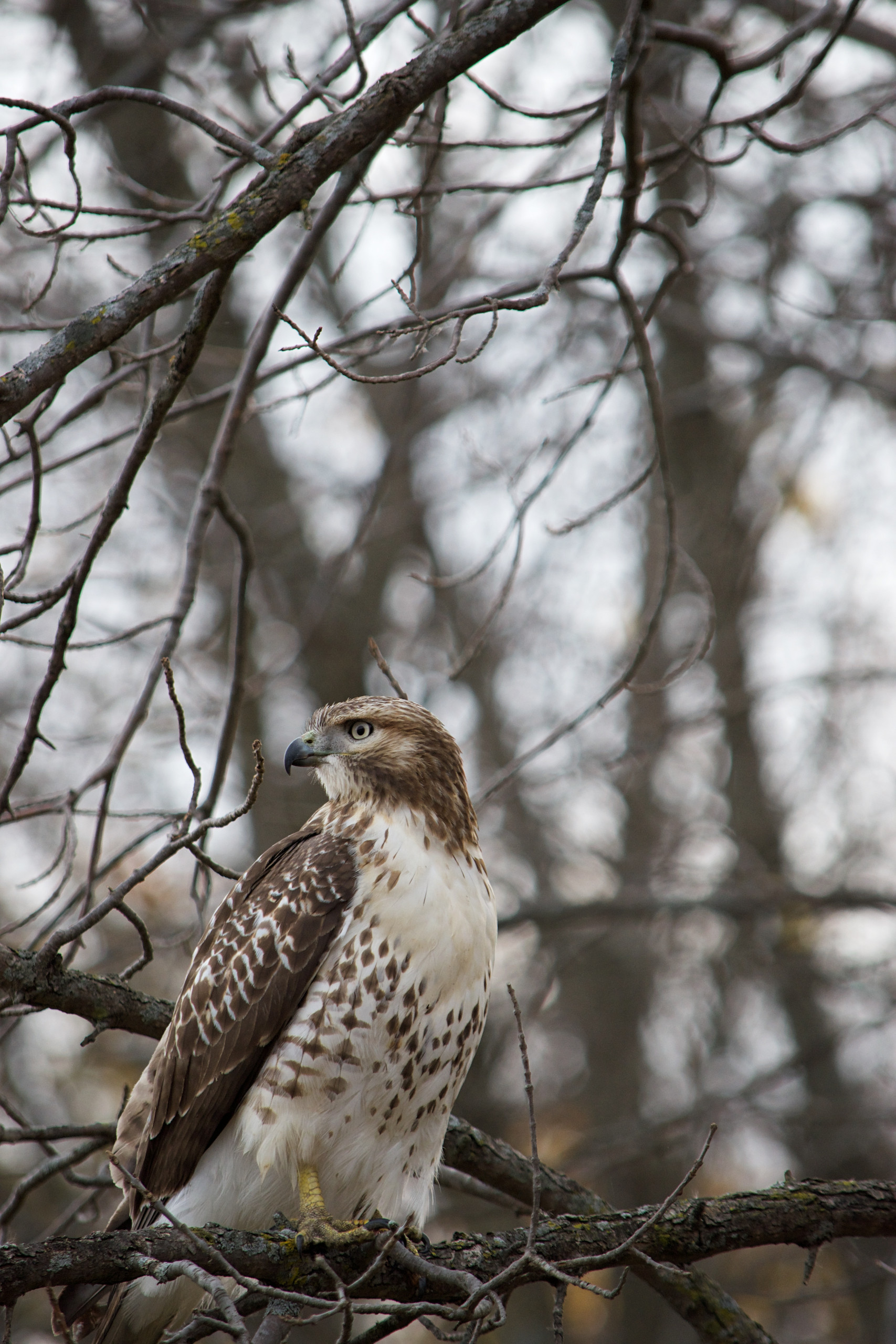 Photo Contest Winners – Natural Lands