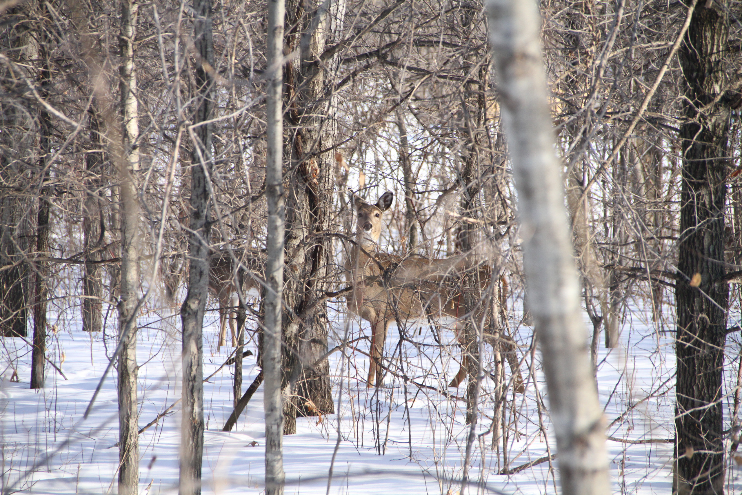 Photo Contest Winners – Natural Lands