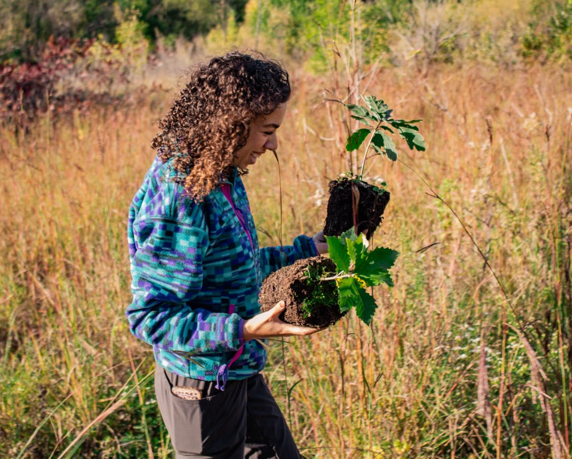 Natural Lands – Campus Sustainability